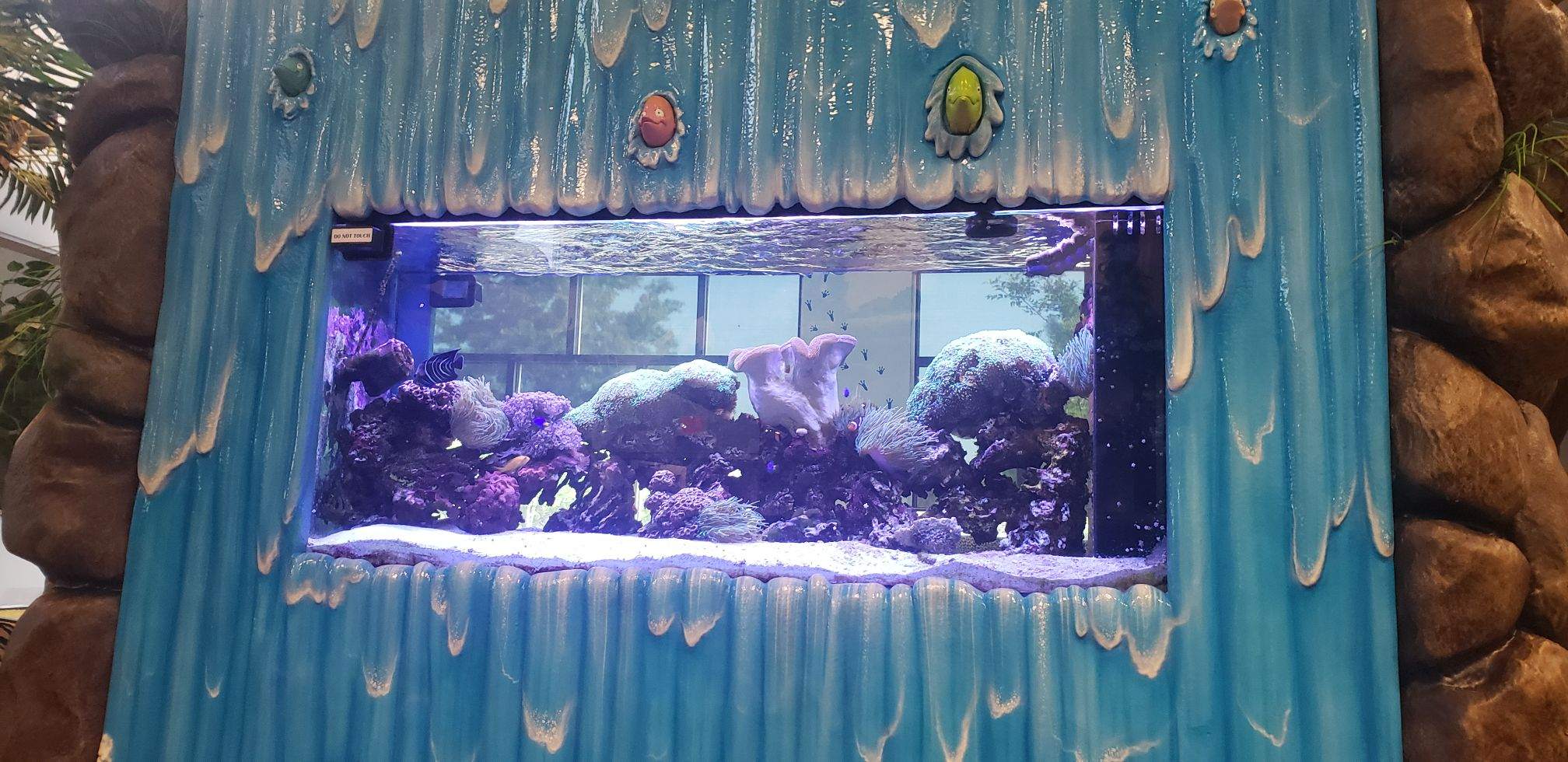 Reef Ready Aquariums